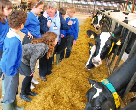 6-x-headings-frontpage-schools - Reaseheath College