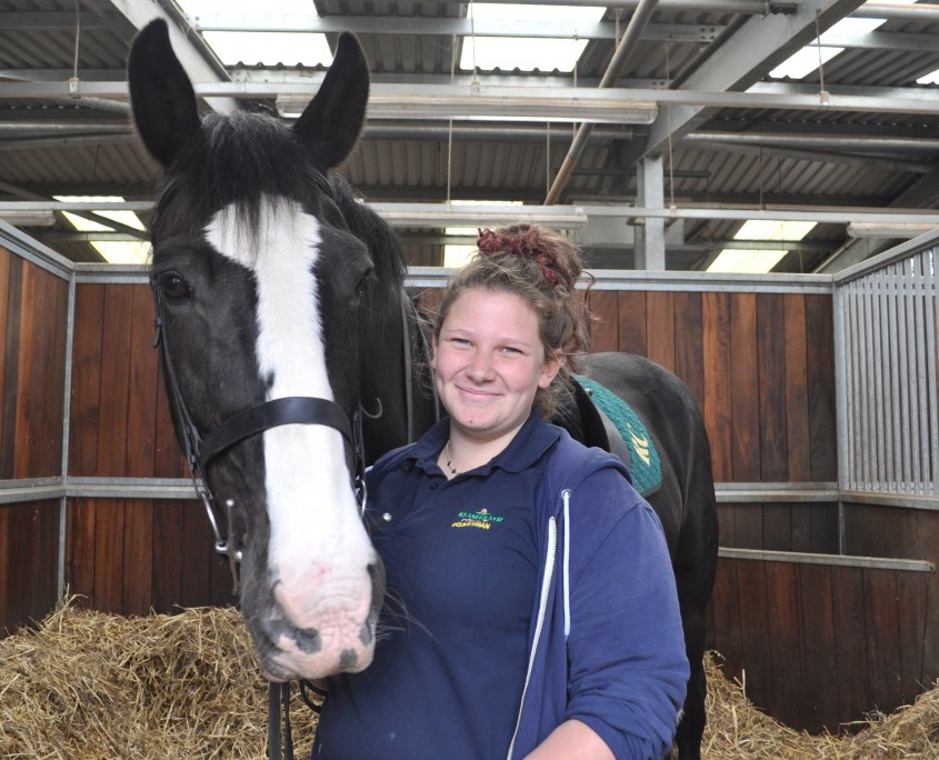 Level 2 Technical Certificate in Horse Care - Reaseheath College