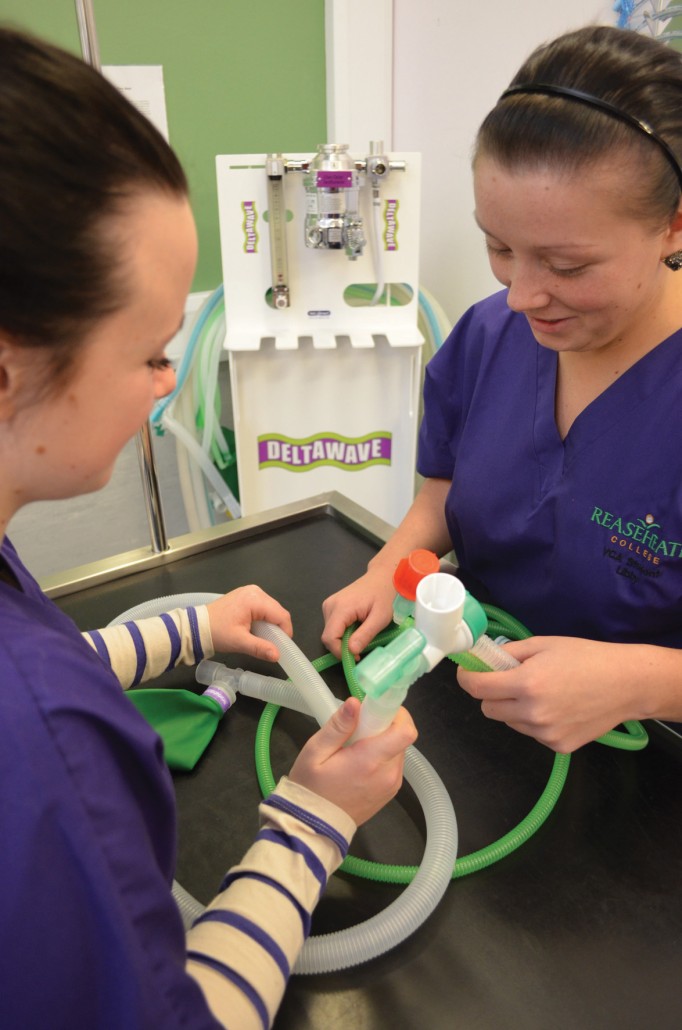 vet-nursing-2 - Reaseheath College