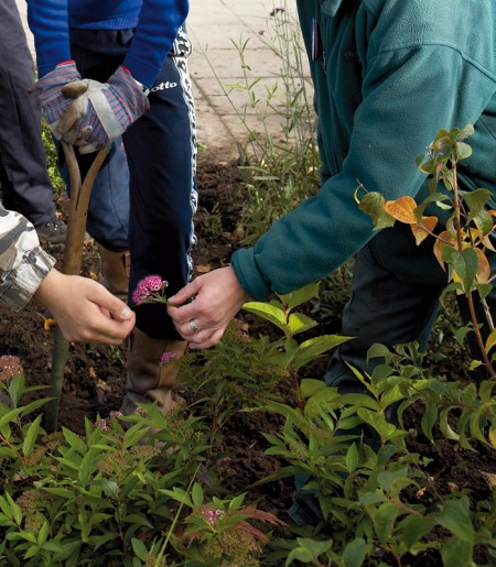 horticulture-PT-main-5 - Reaseheath College