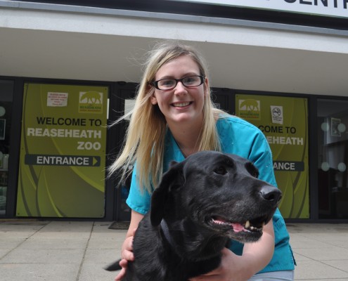 Level 3 Diploma in Veterinary Nursing - Reaseheath College