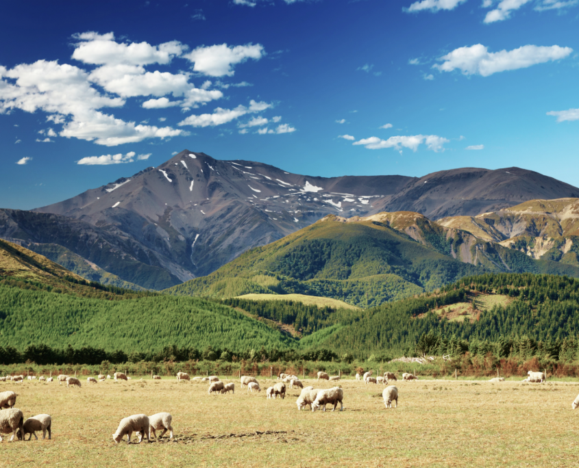 John Platt Scholarship - Reaseheath College