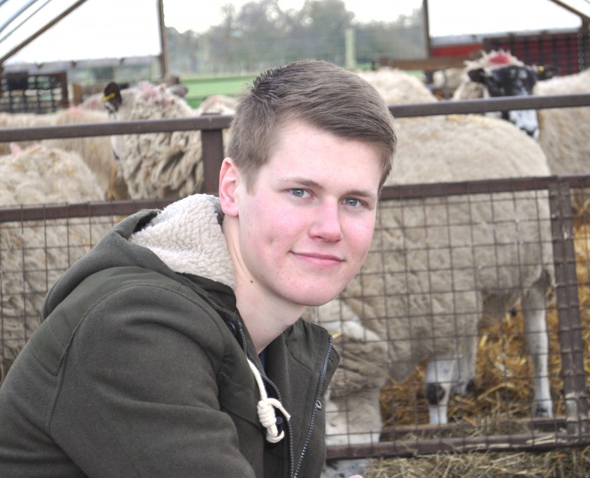 Apprenticeships in Agriculture - Reaseheath College