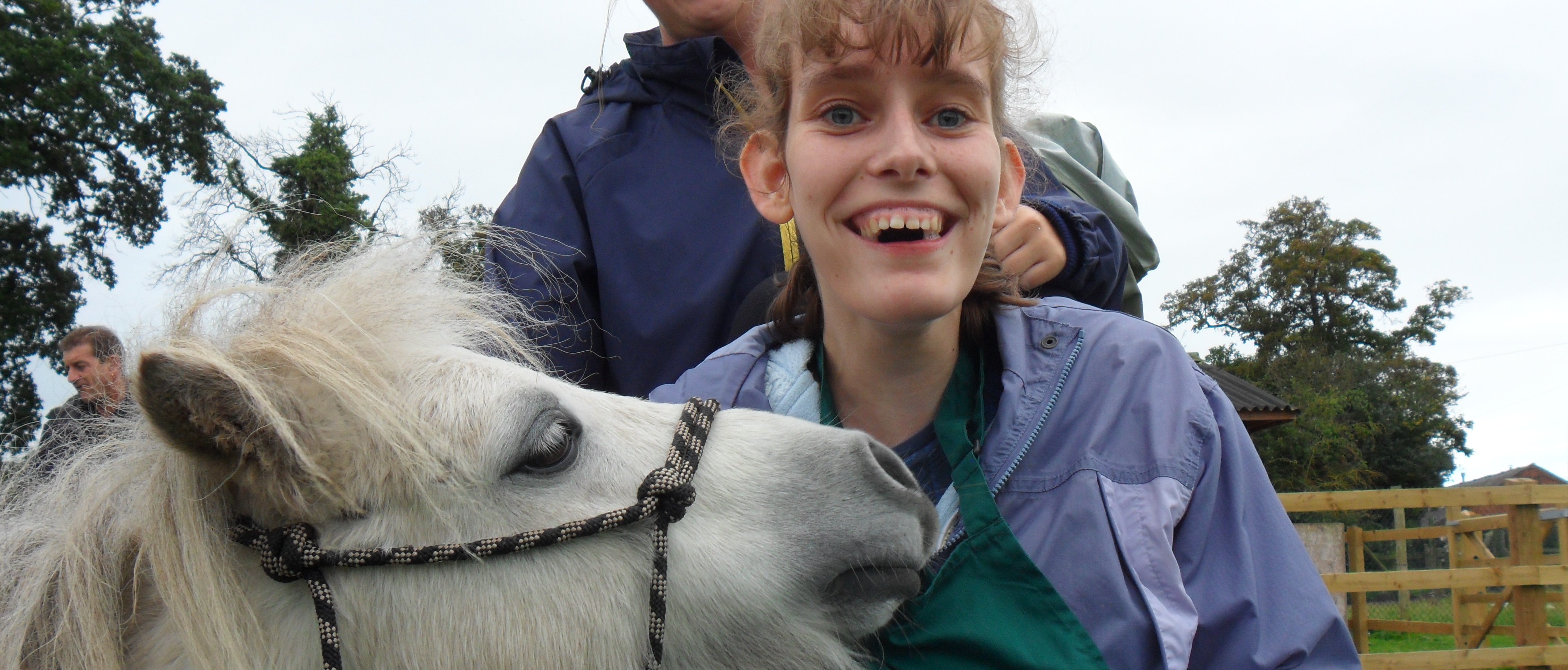 Can horses teach us a better way of doing things? - Reaseheath College