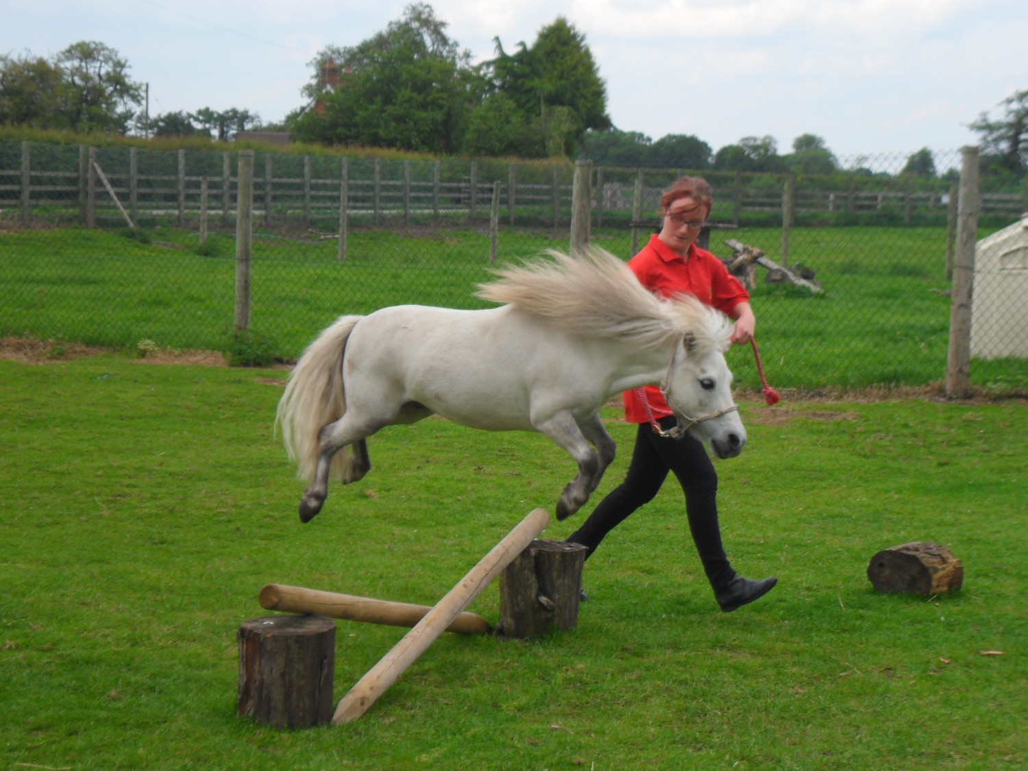 The free rein exercise. Foundation Level One Equine learner- Hope Walker and Frankie ...
