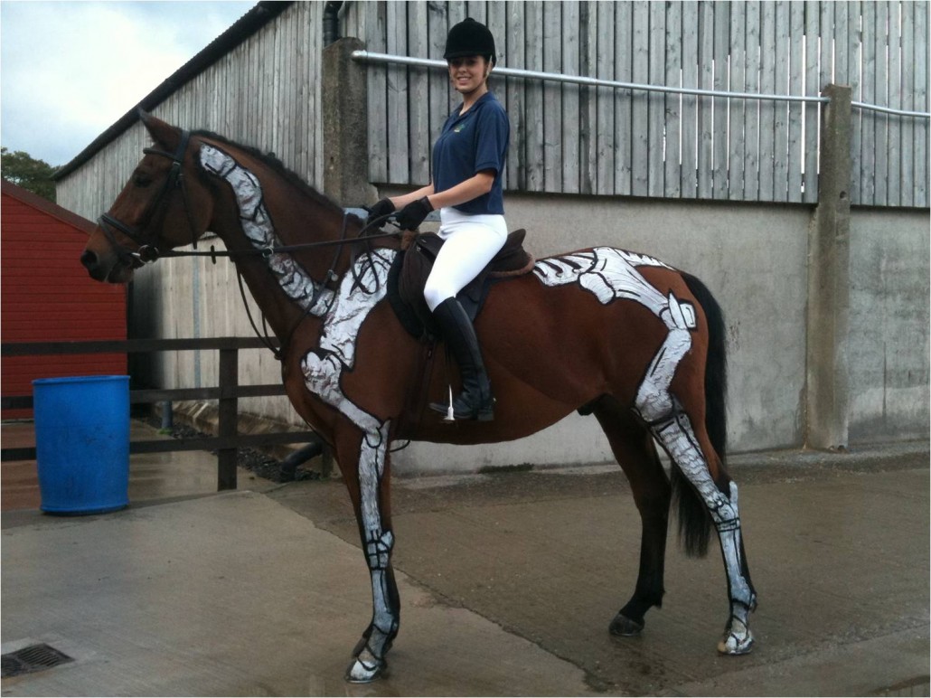 - Reaseheath College