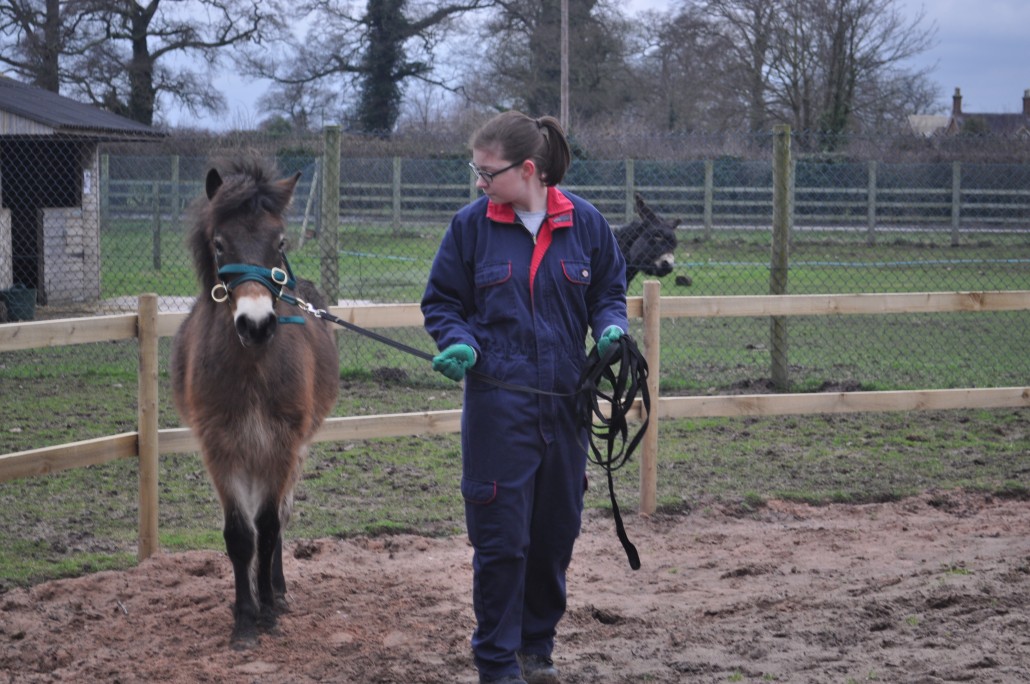 animal management Archives - Reaseheath College