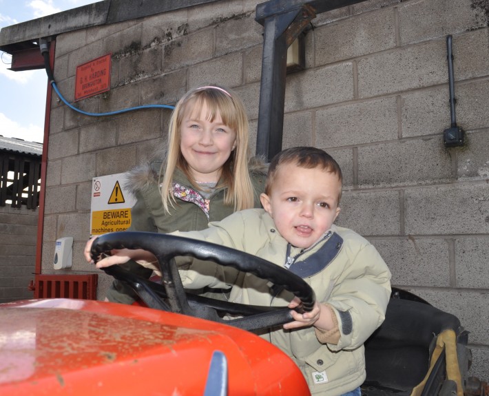 Lambs herald Spring at Reaseheath College - Reaseheath College
