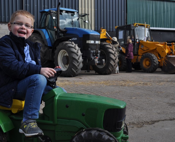 Lambs herald Spring at Reaseheath College - Reaseheath College