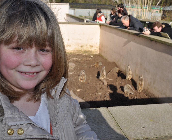 Lambs herald Spring at Reaseheath College - Reaseheath College