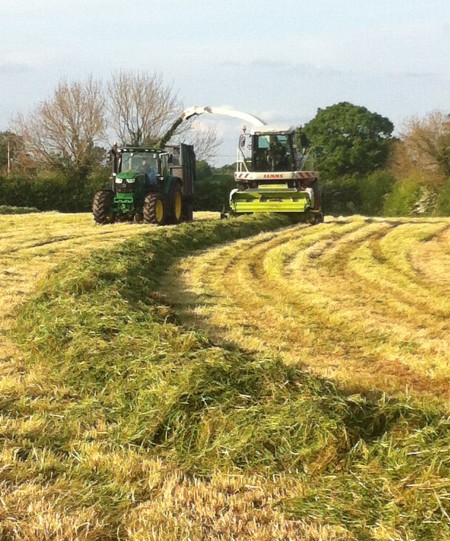 Dealerships join Reaseheath College to enhance student experience - Reaseheath College