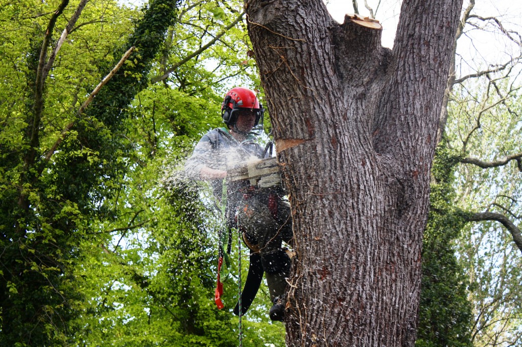 Countryside - lead image large - Reaseheath College