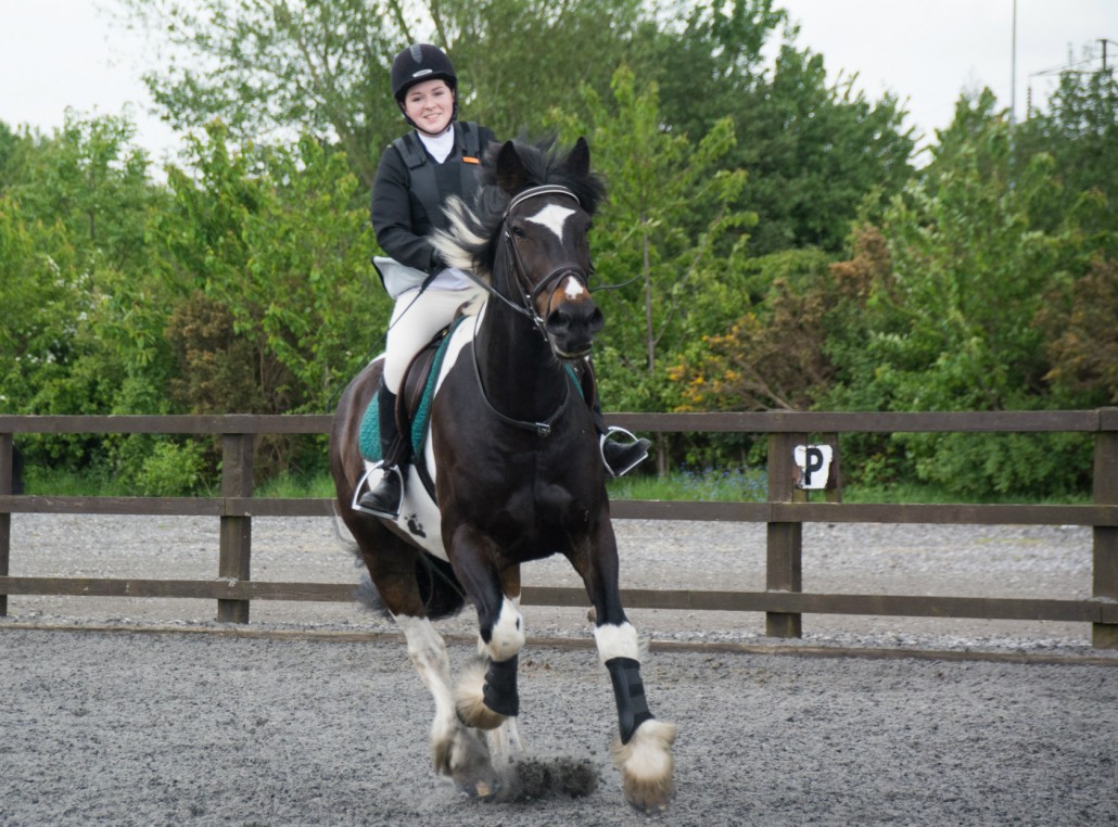 equine course button - Reaseheath College