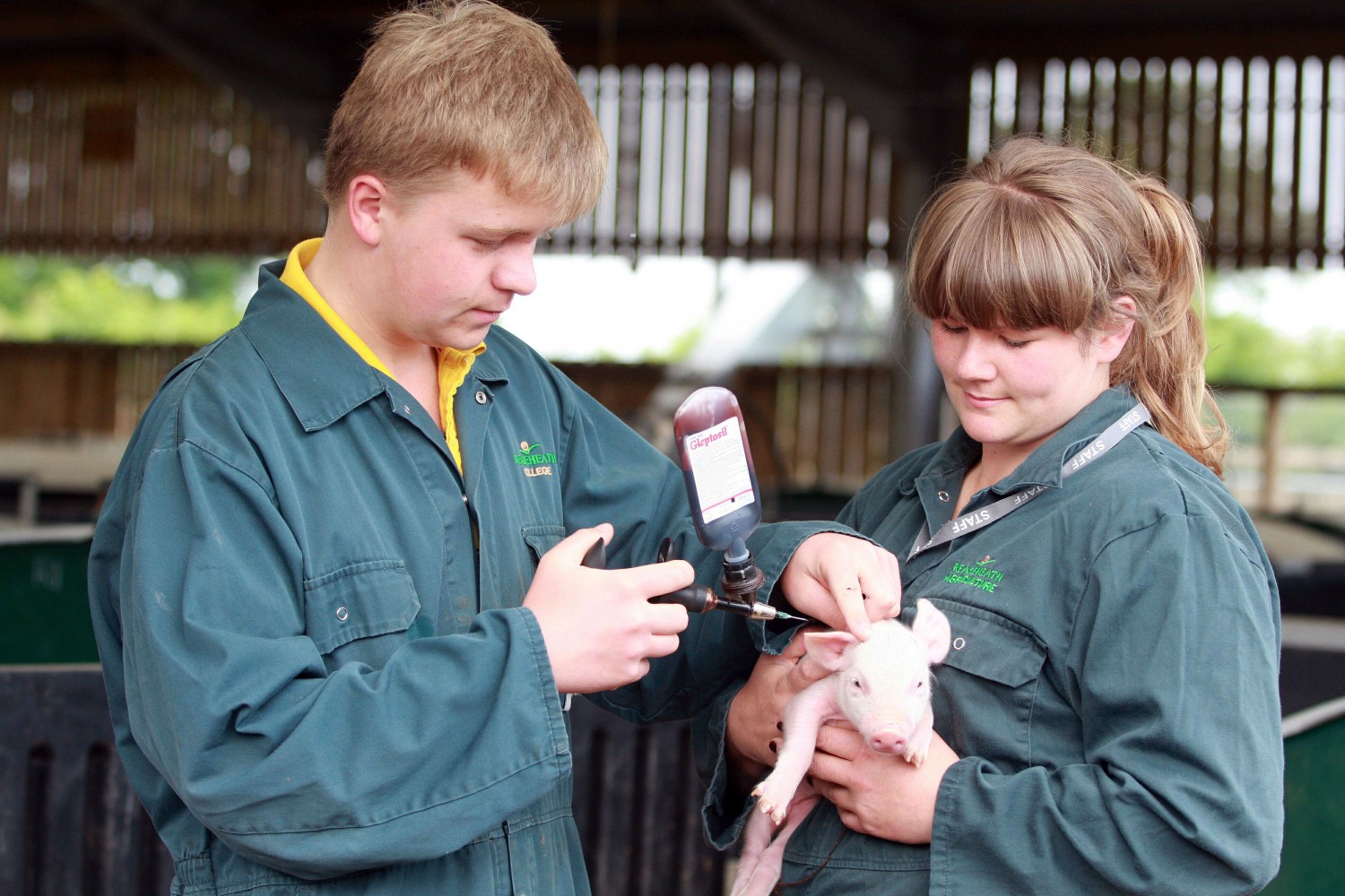 Agriculture - staff with piglet - Reaseheath College