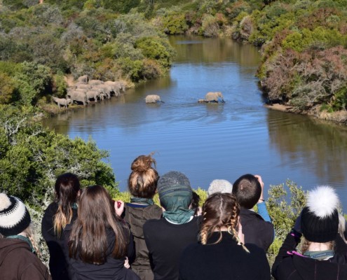 Animal Management - Reaseheath College