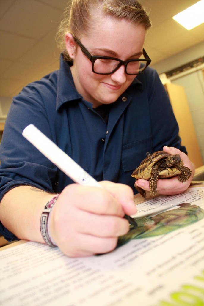 Animal Management - Reaseheath College