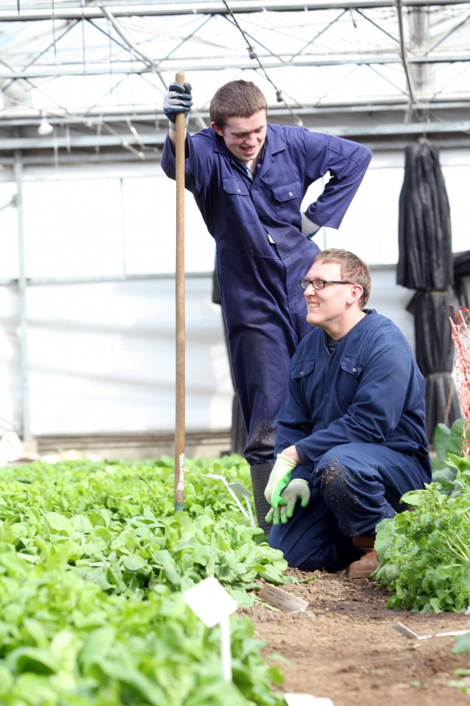 Foundation horticulture student 3 - Reaseheath College