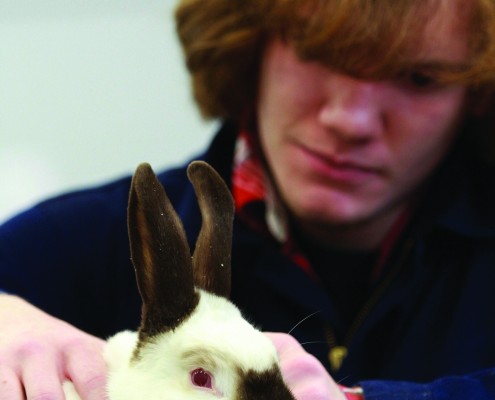 Uncategorized Archives - Page 4 of 15 - Reaseheath College