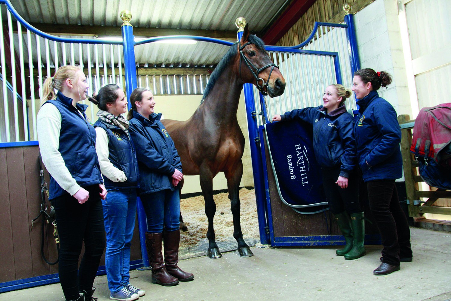HE Equine - Hartshill Stud - Reaseheath College