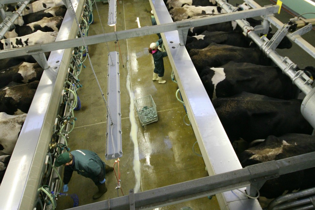 Agriculture - Reaseheath College