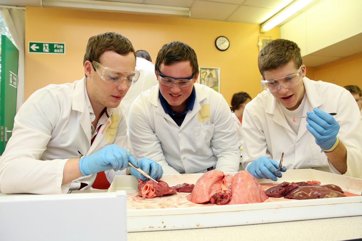 Agricultural degree students - Reaseheath College