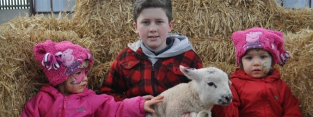 Lambs herald Spring at Reaseheath College - Reaseheath College