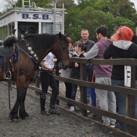 Phenomenal success for Reaseheath Family Festival - Reaseheath College