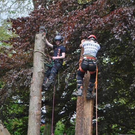 Phenomenal success for Reaseheath Family Festival - Reaseheath College