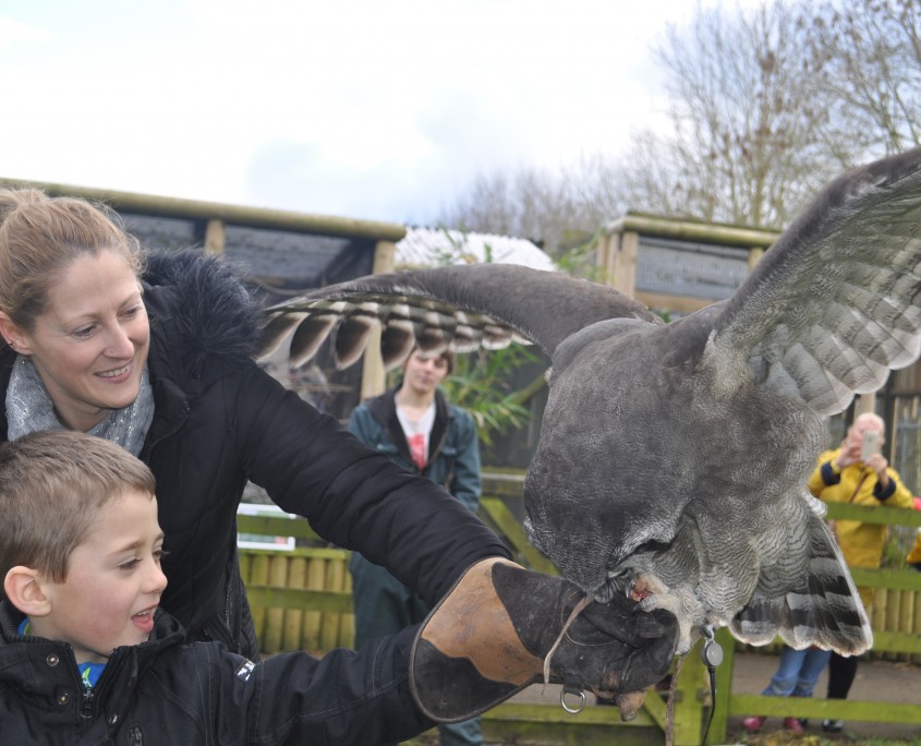 Reaseheath Zoo Archives - Reaseheath College