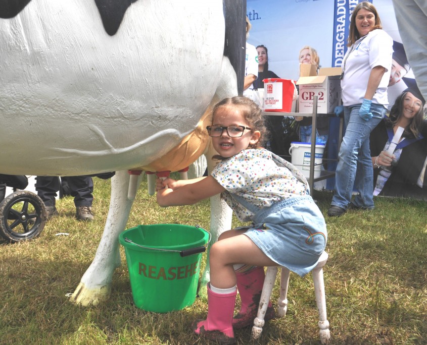 Agriculture students shine at Royal Cheshire Show - Reaseheath College