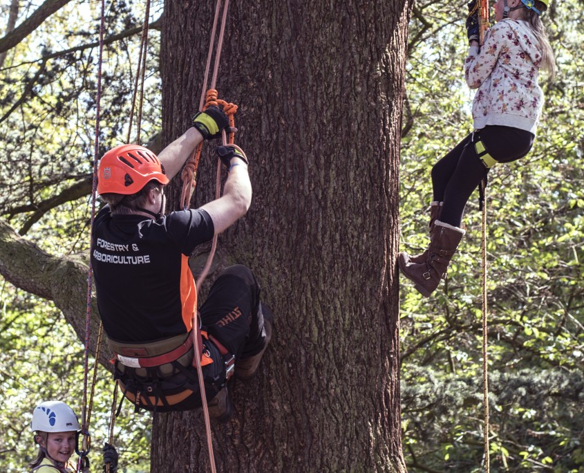 Reaseheath’s Family Festival draws visitors from across region - Reaseheath College