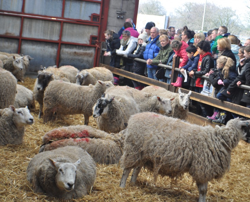 Reaseheath Zoo Archives - Reaseheath College