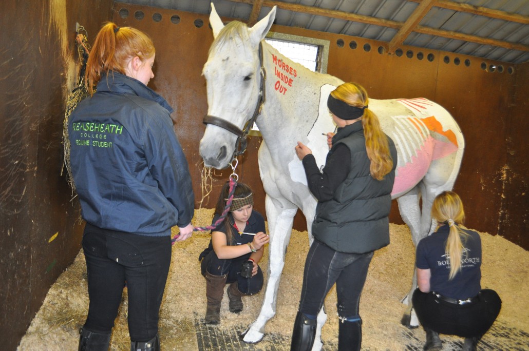 students preparing Roger for Horses Inside Out - Reaseheath College