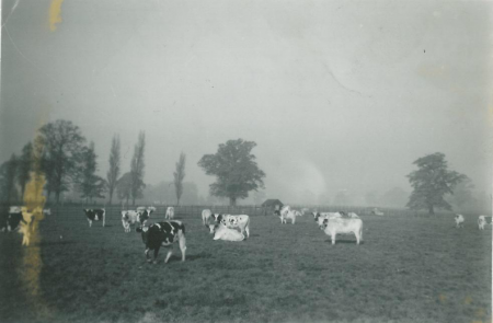 Reaseheath history Archives - Reaseheath College