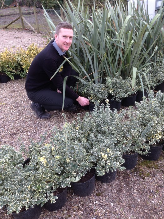 Steve Williams HORTICULTURE profile pic - Reaseheath College