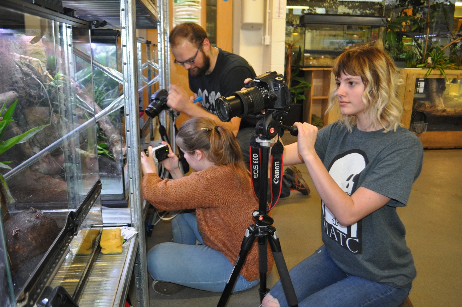 Hatti Lane, Stacie Cornwell, Sam Lomas film Phantasmal Dart frogs ...