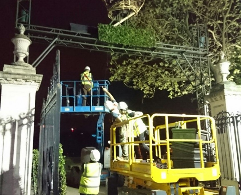 Lifetime experience for florists at RHS Chelsea - Reaseheath College