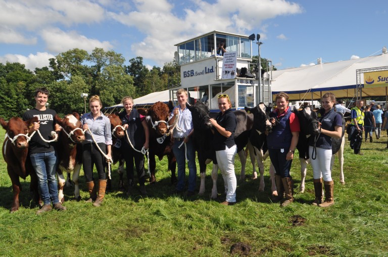 agric students with dairy and beef cattle - Reaseheath College
