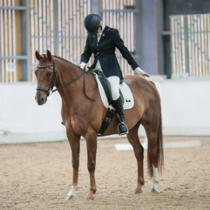 Reaseheath Equestrian Centre Competitions and Events - Reaseheath College