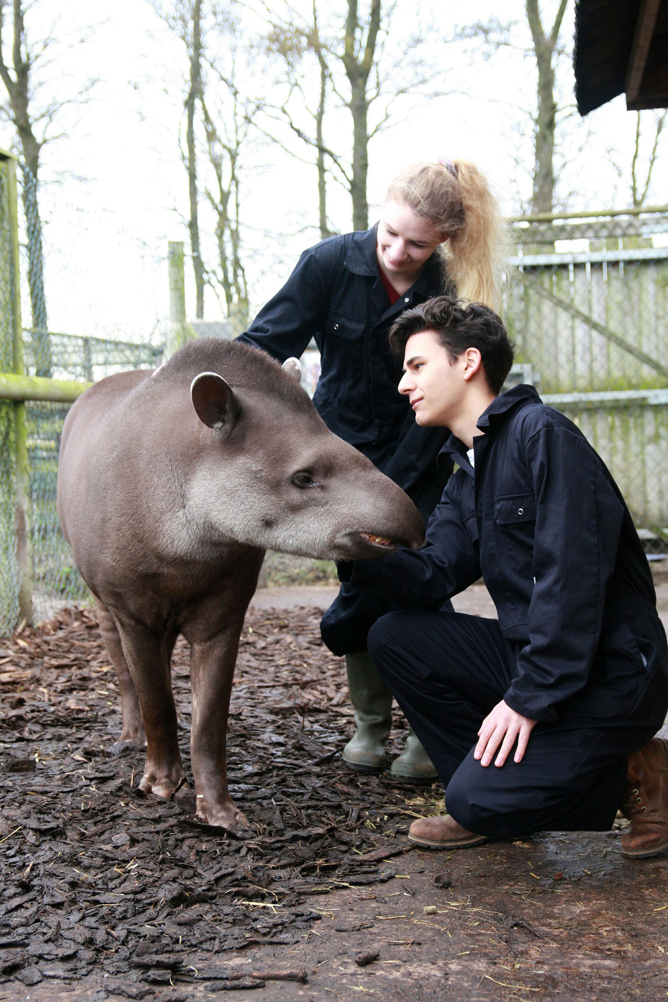Animal Management Taster Day, Tuesday 30th May - Friday 2nd June - Reaseheath College