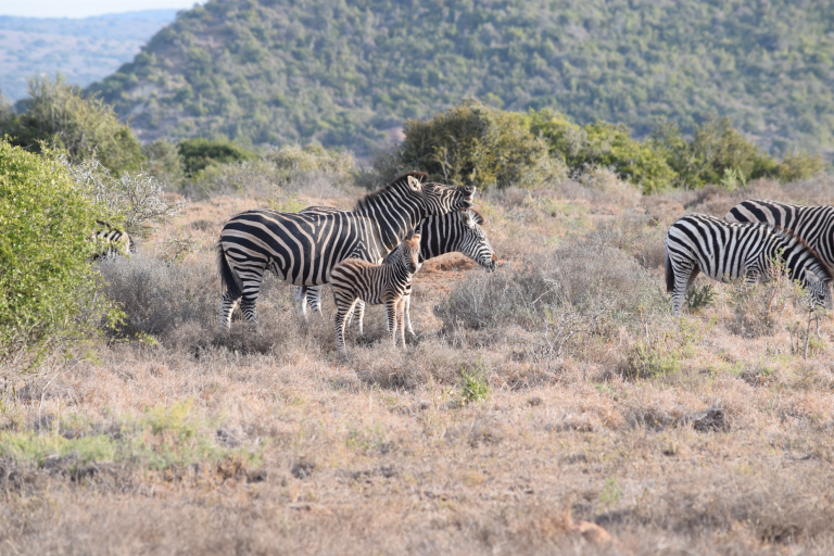 fe-animal-management-study-tour-2016_3-41 - Reaseheath College