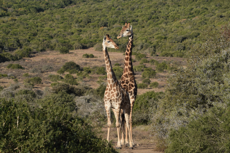 fe-animal-management-study-tour-2016_4-09 - Reaseheath College