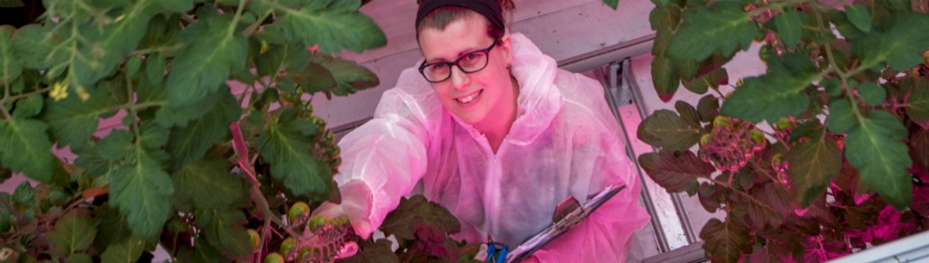 Horticulture Courses for Adult Learners - Reaseheath College