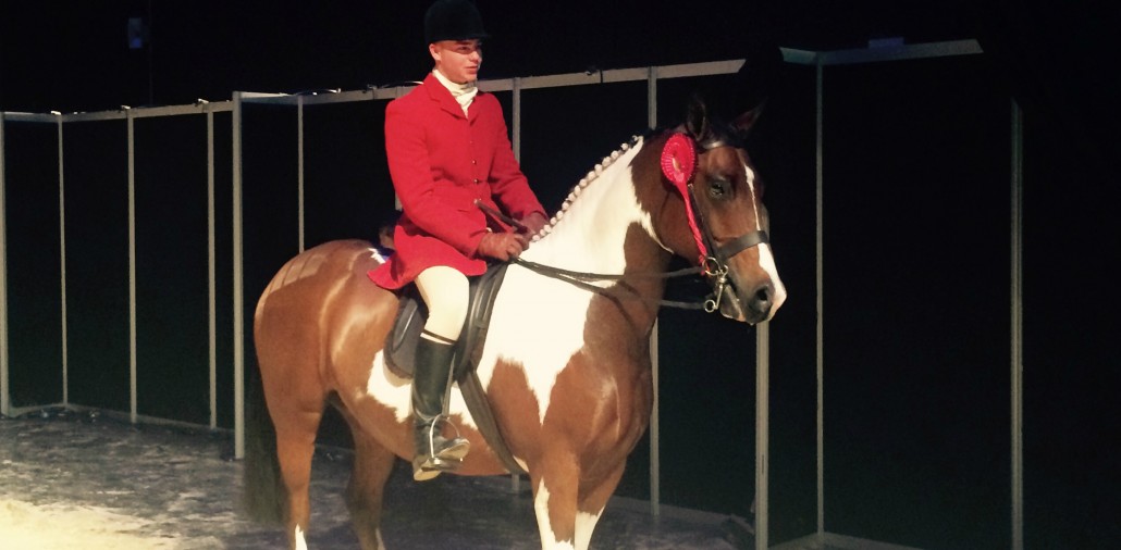 Equine students enjoy exceptional experience at HOYS - Reaseheath College