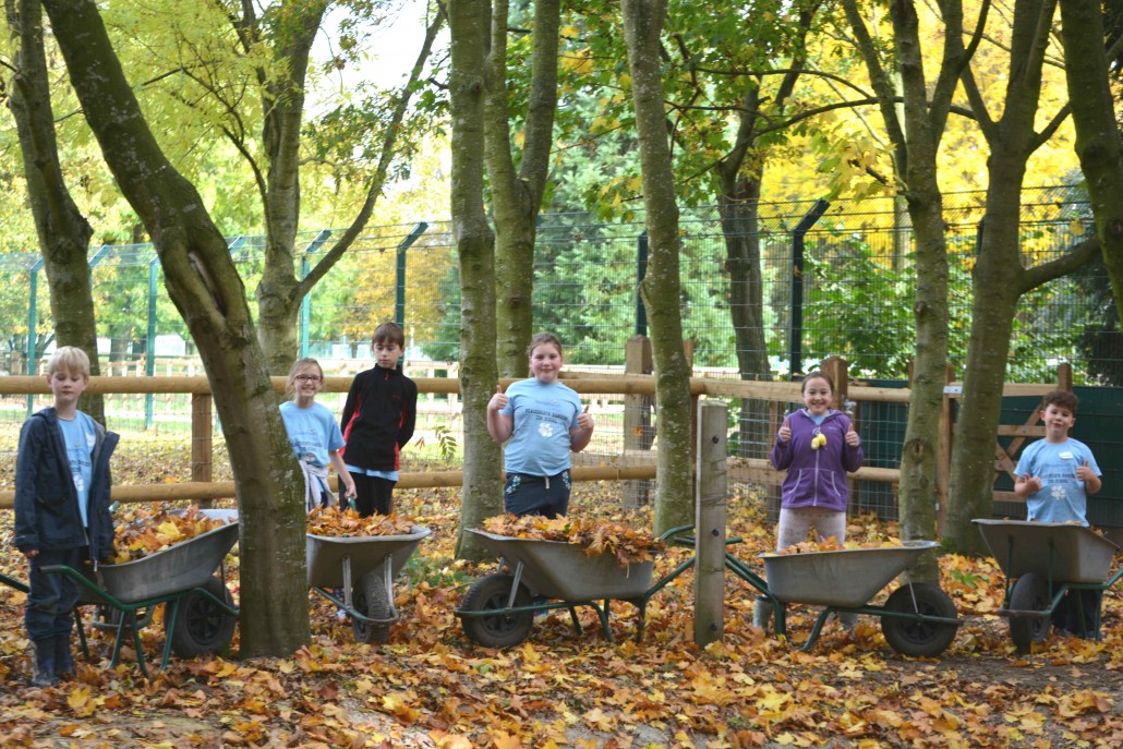 Reaseheath Zoo School proves a roaring success - Reaseheath College