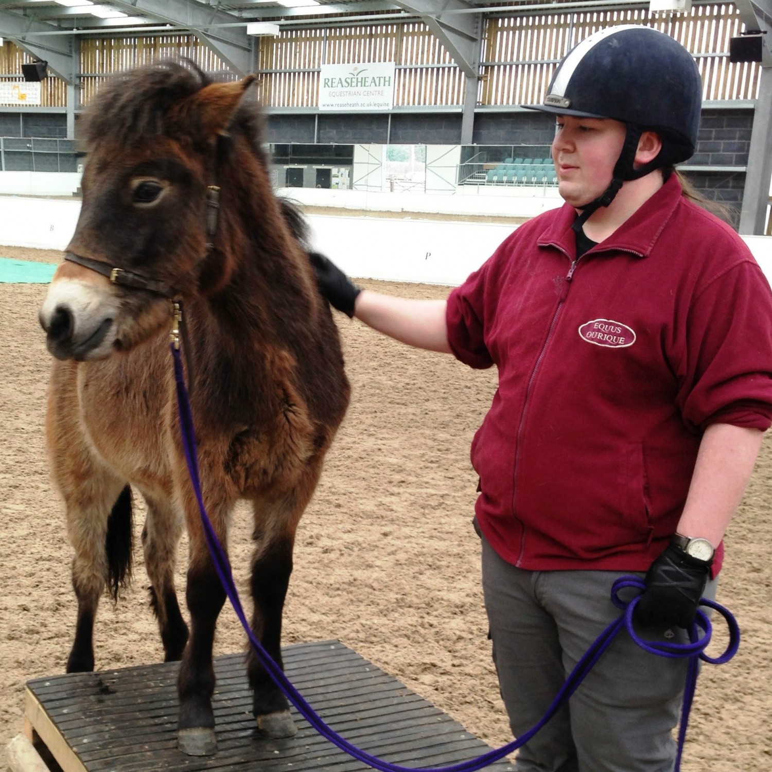 Spotlight on equine science graduate Chris Jones - Reaseheath College