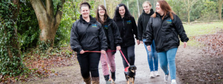 Canine Homepage 2 - Reaseheath College