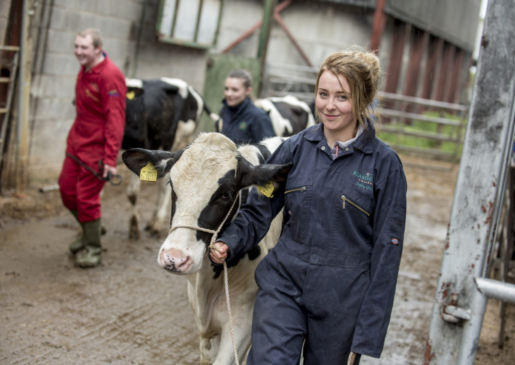 Online Store - Agric - Reaseheath College