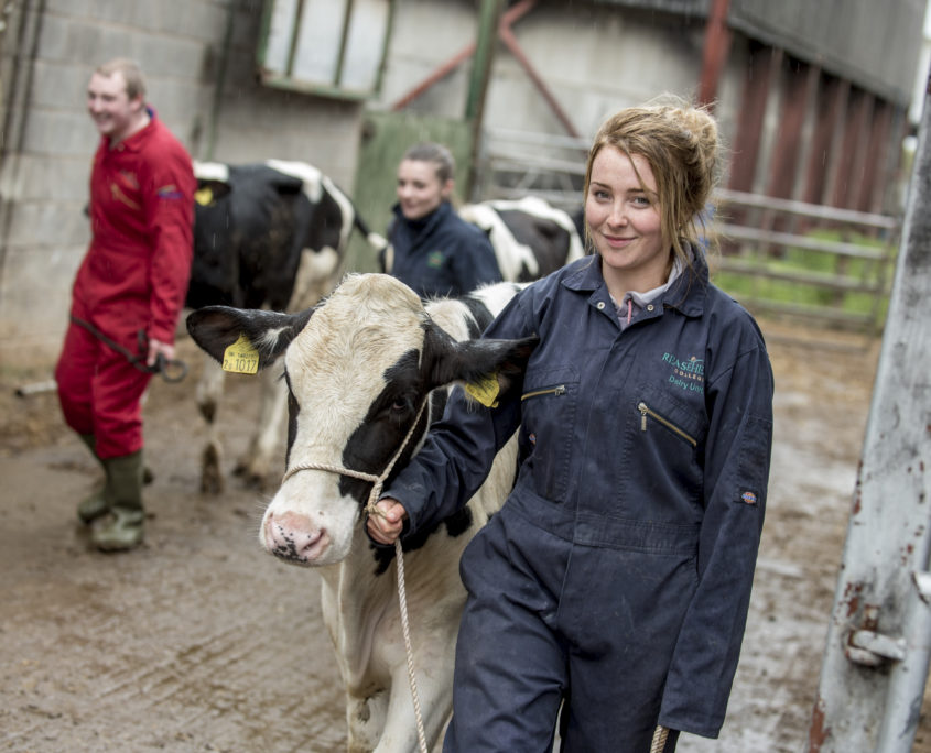 Online Shop - Reaseheath College