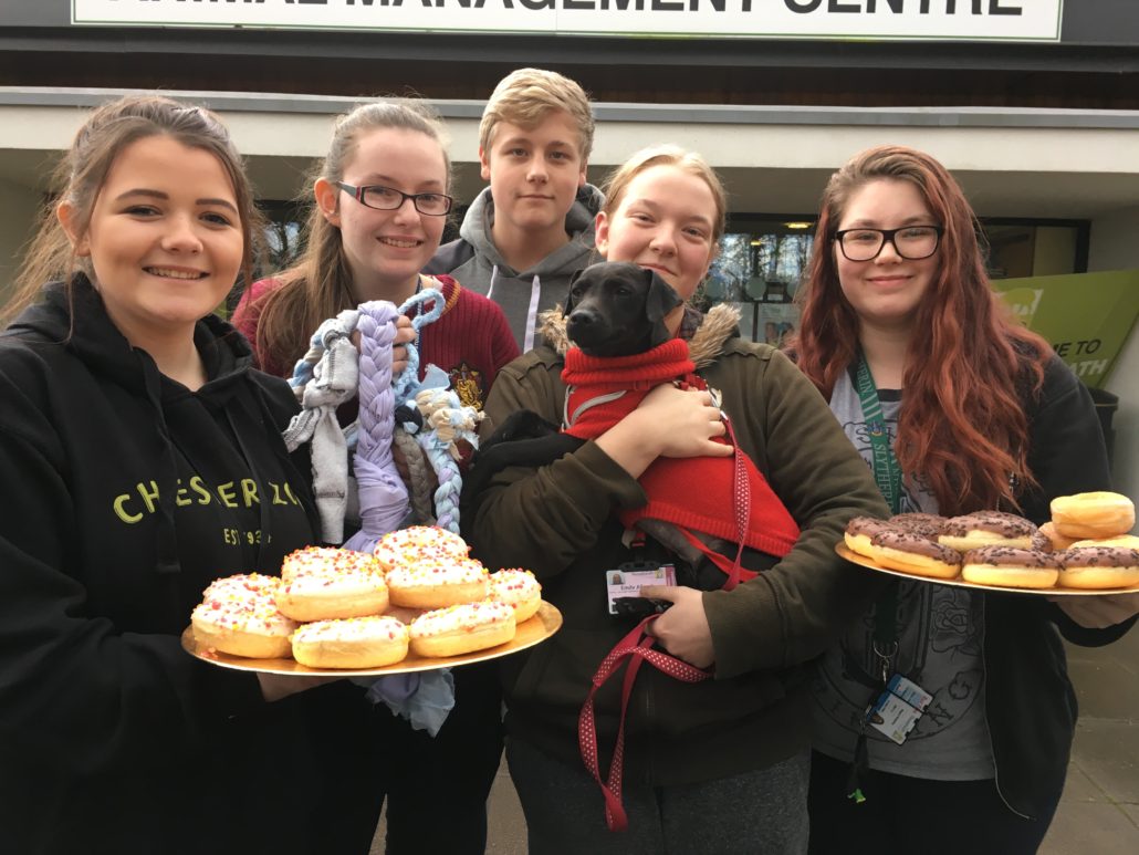 Reaseheath students raise funds to get new knees for Tilly - Reaseheath College